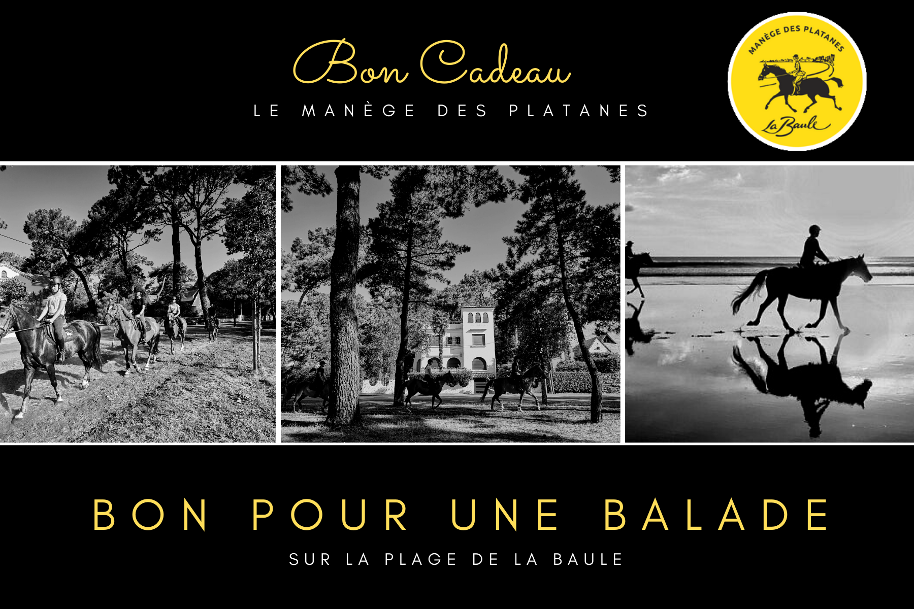 Balades et Randonnées à cheval — Manège des Platanes